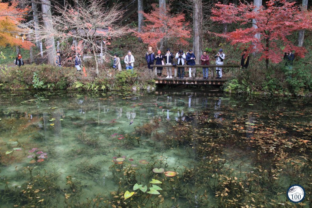 Discovering Gifu's prefecture hidden gem : Monet's Pond