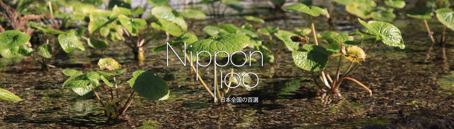 Original wasabi actually comes from Utogi - Nippon100